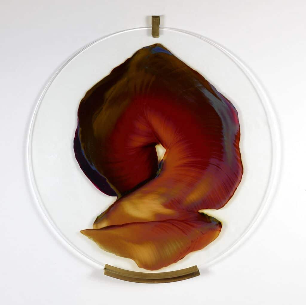 Hopes, Meirav Sher - The Space Art